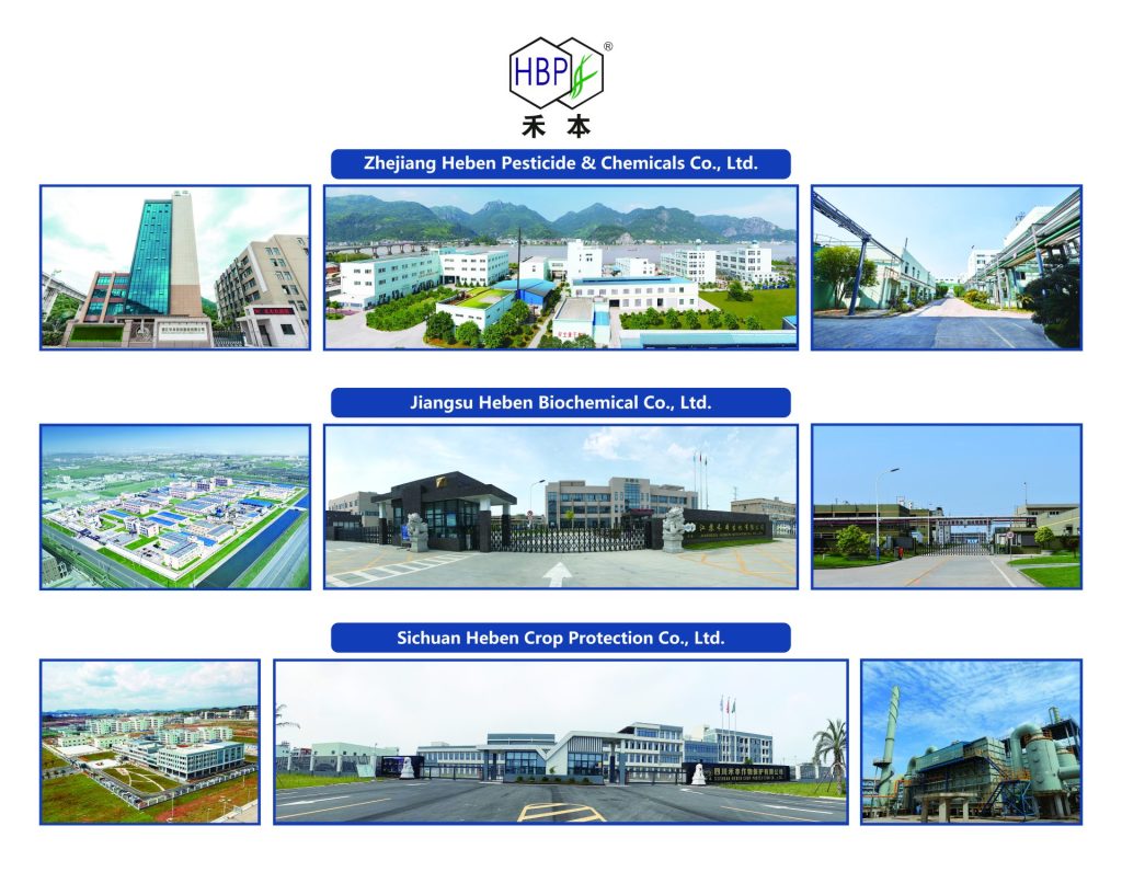 Zhejiang Heben attended CAC Shanghai 2024 - HEBEN